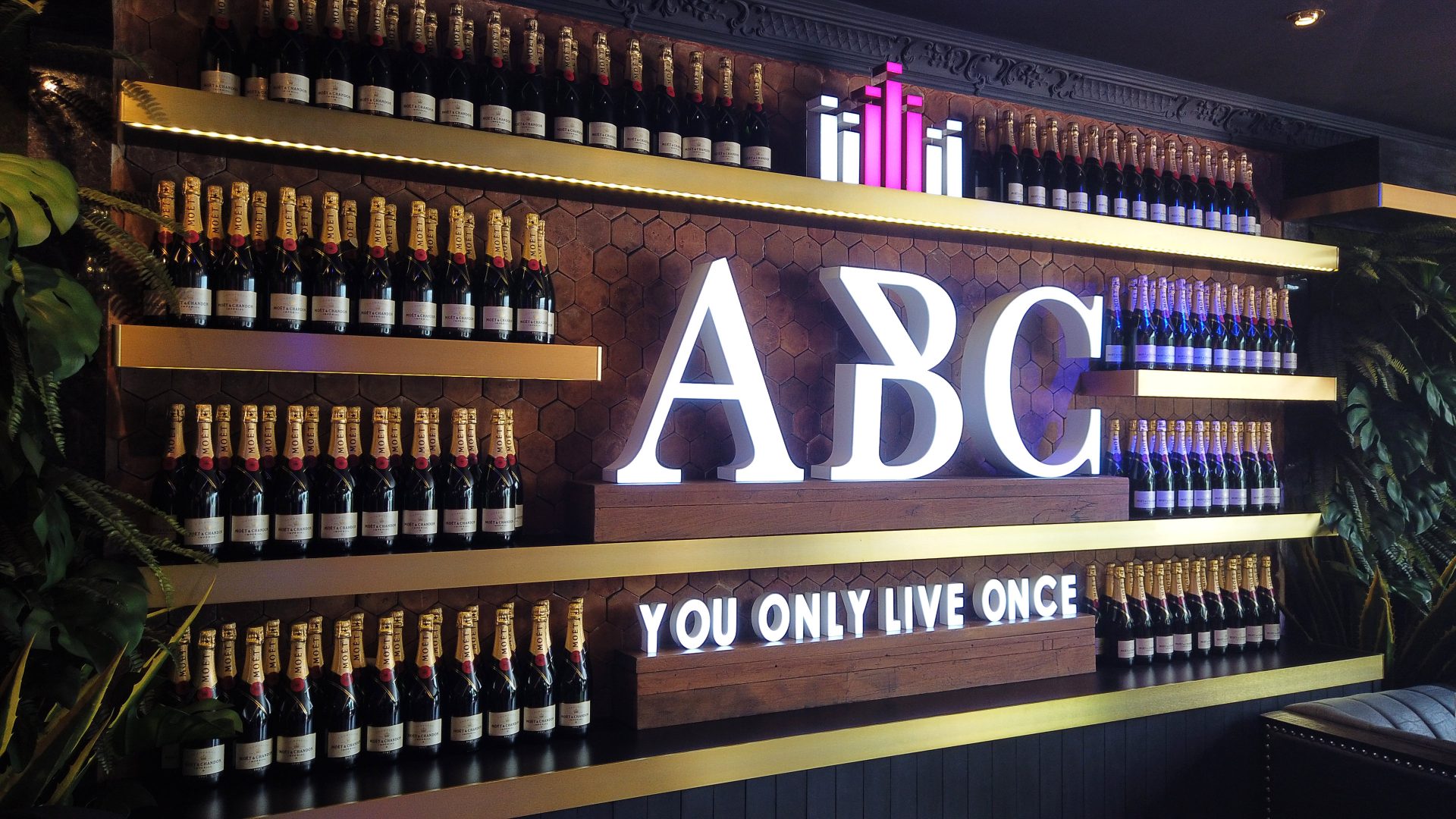 48 Hours at the ABC Hotel