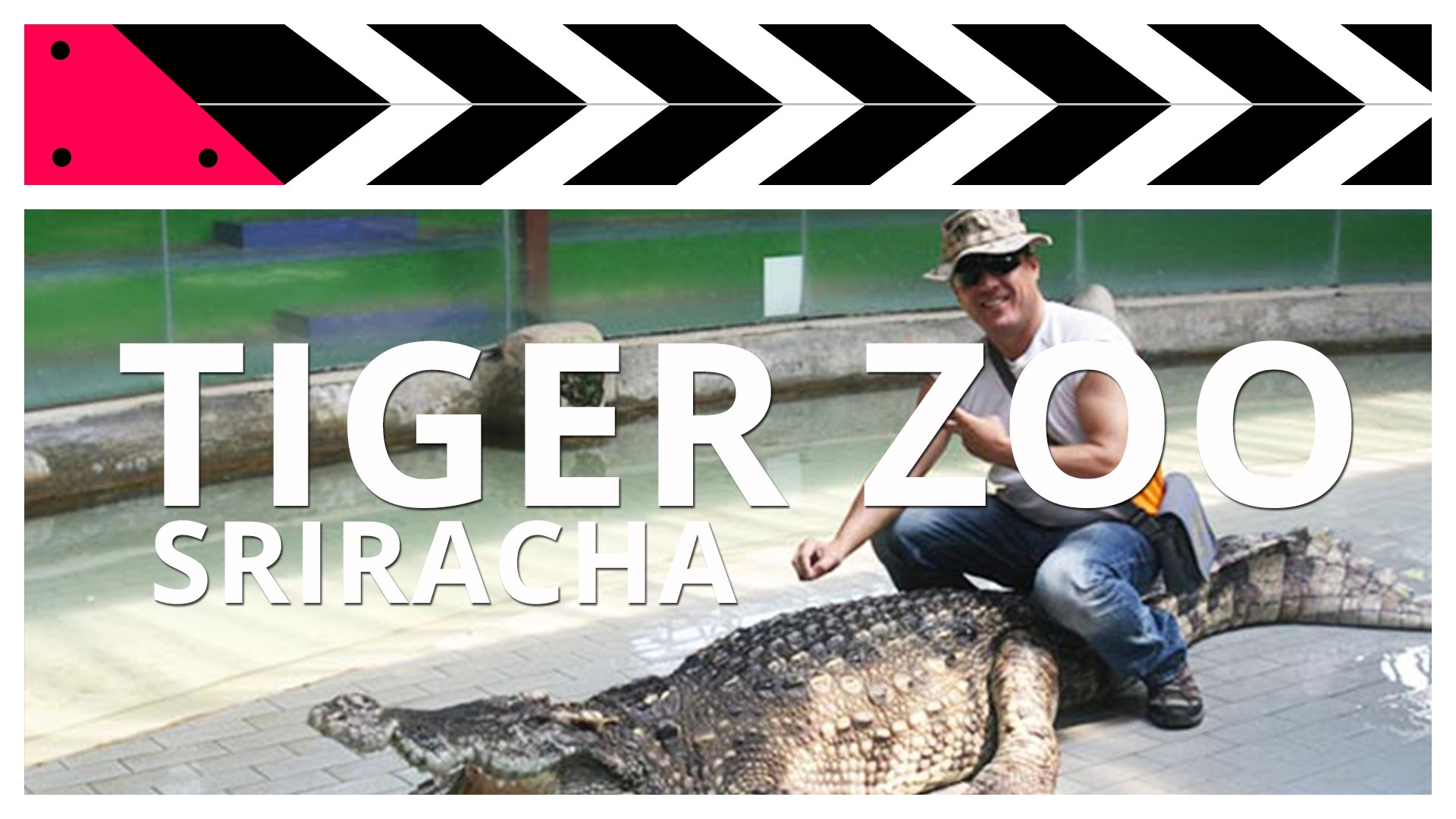 Sriracha Tiger Zoo - Thailand - Feed Baby Tigers & Elephants